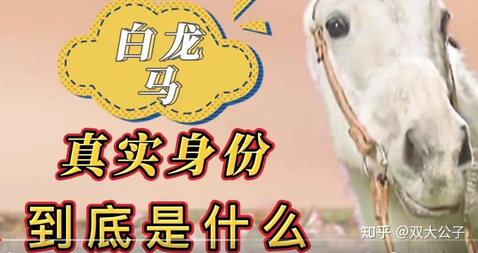 白龙马成佛后的封号图标
