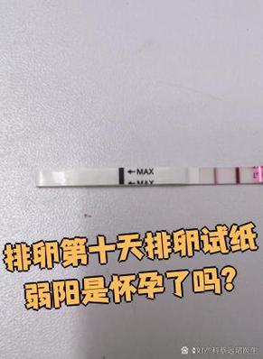 排卵试纸能测出怀孕吗截图