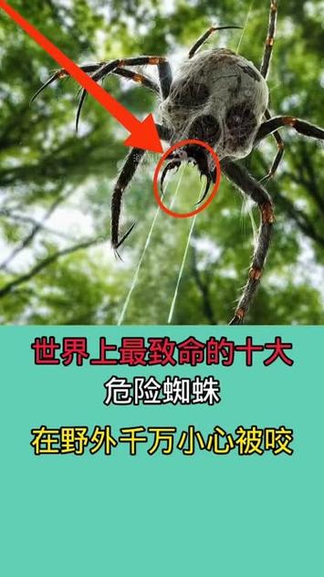 致命的截图