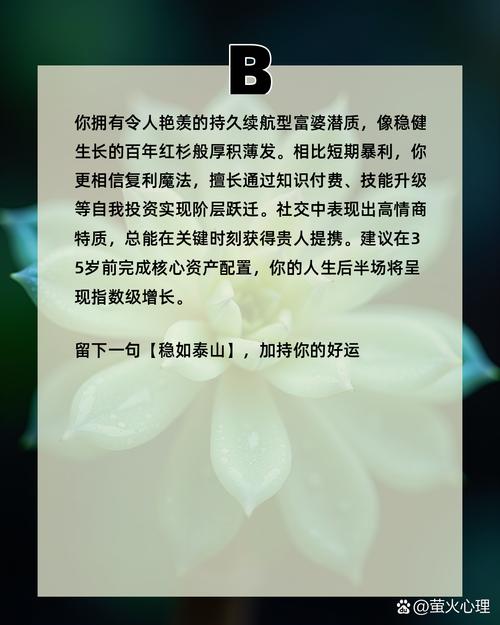 轻松筹的害处与好处图标