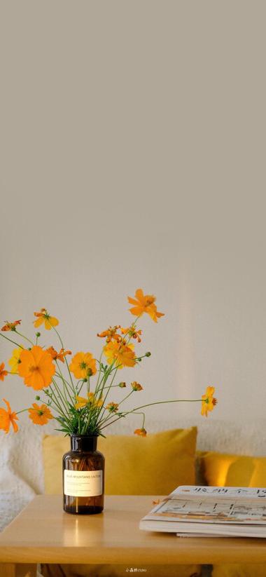 苹果11壁纸高清图片手机图标