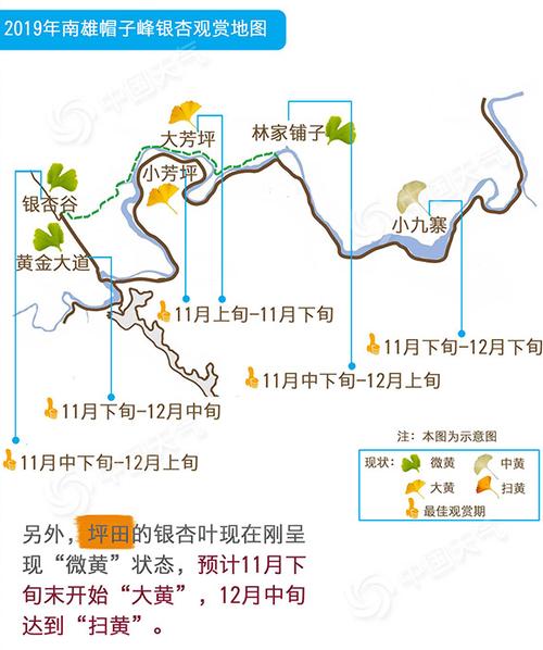 南雄银杏自驾游攻略截图