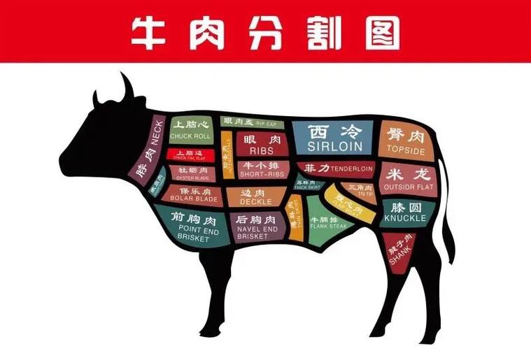 牛肉的各个部位分布图图标