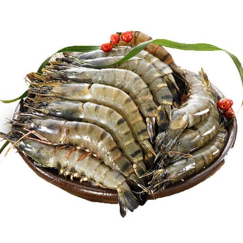 大头虾图标