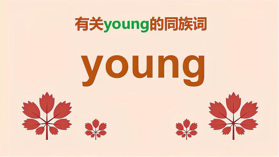 young的名词截图