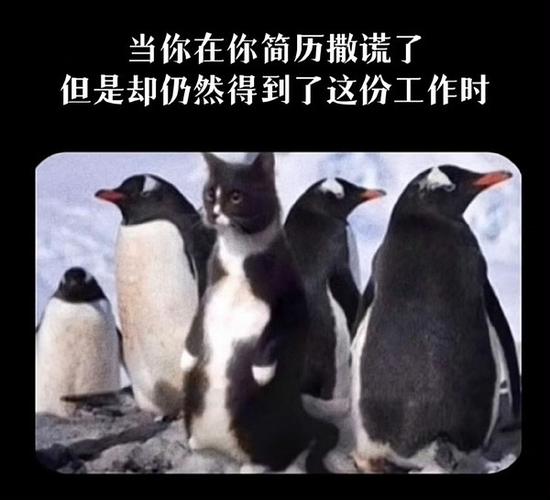 高情商回复不入职图标
