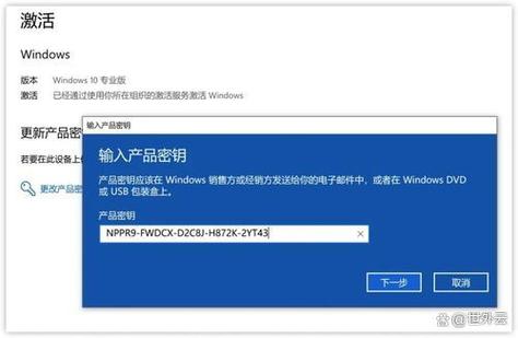 常青藤无法获取序列号图标