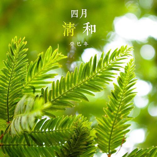 梦筱二《四月清和》图标