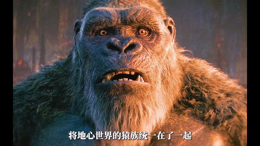 金刚免费完整版国语高清截图