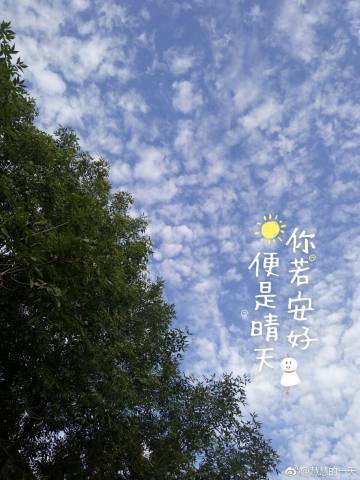 慧慧的背景介绍图标