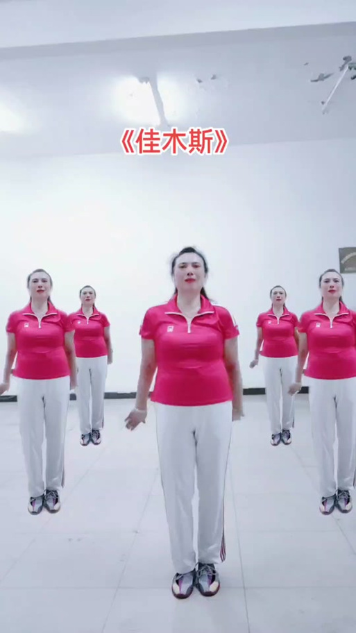 佳木斯十二套广场舞视频截图