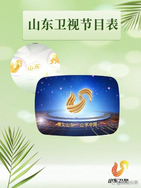 山东卫视今晚节目表最新消息图标