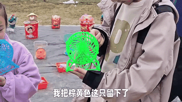 套圈活动记300 个字截图