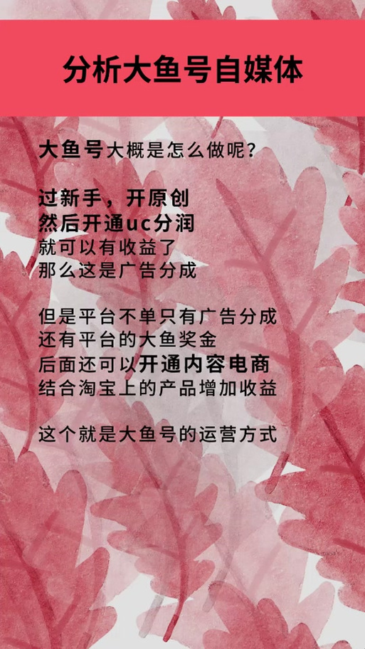 大鱼号开通收益太难图标