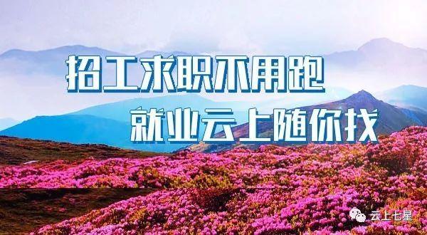 毕节就业云app下载