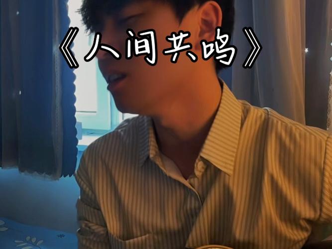 人间共鸣什么意思