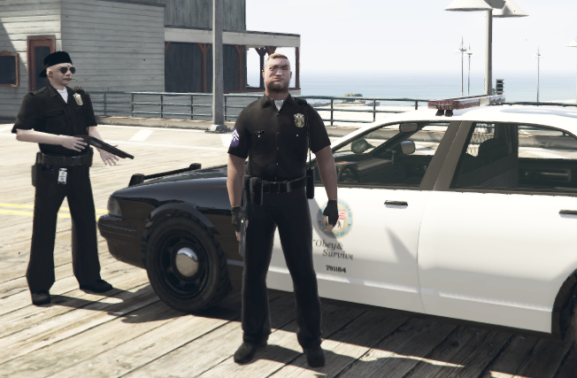 gta5警察骂人