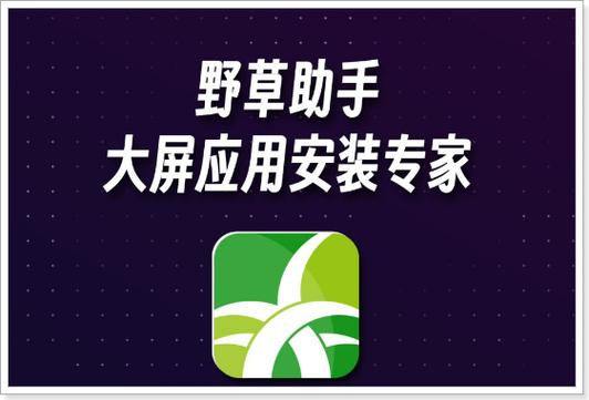 野草助手电视家口令图标
