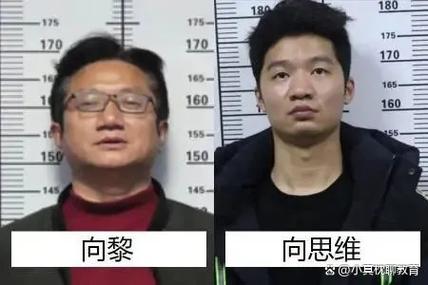向黎家庭最新动态图标