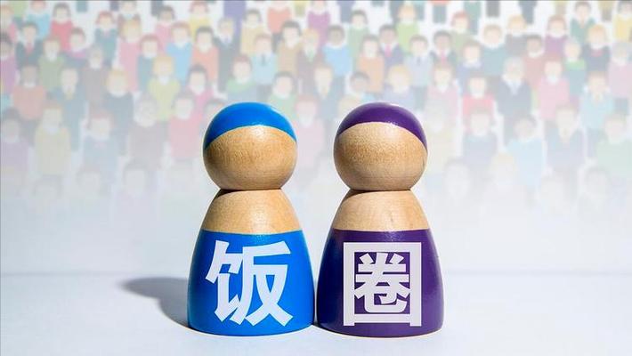 饭圈化的定义图标