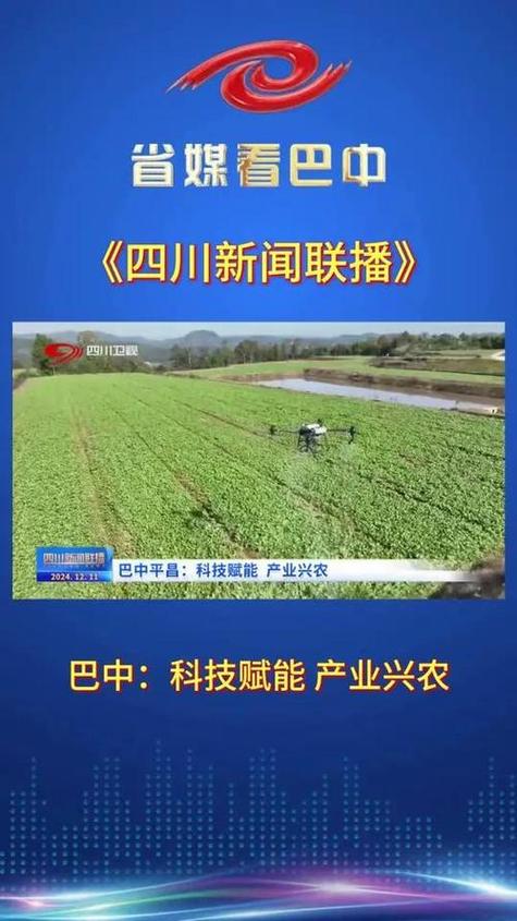巴中电视台新闻联播图标