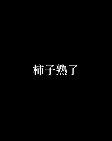 柿子熟了小说图标