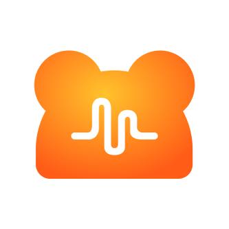 雷神NN语音社交图标