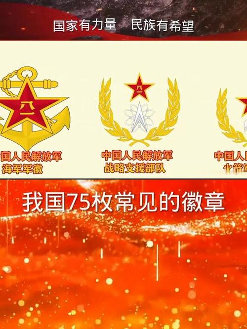 徽章都有哪些徽章图标