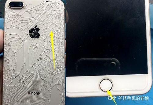 苹果8plus坏了指纹键可以修吗截图