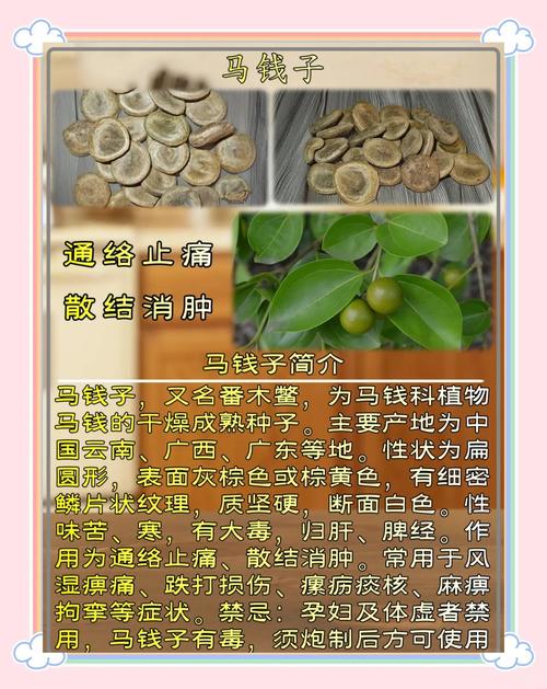 马帮三宝是哪三宝图标