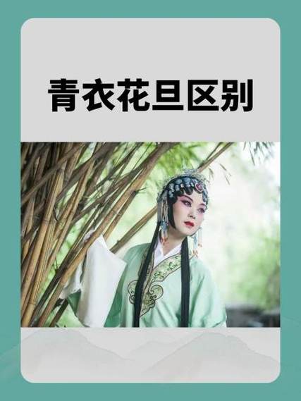 青衣是什么意思图标