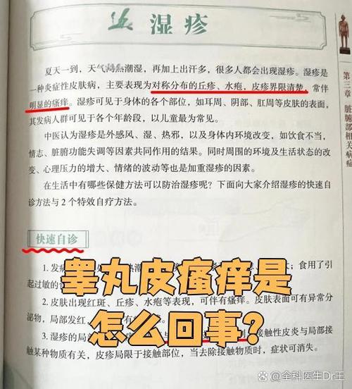 蛋皮下面痒痒怎么回事截图