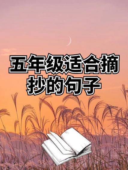 美文100字摘抄图标