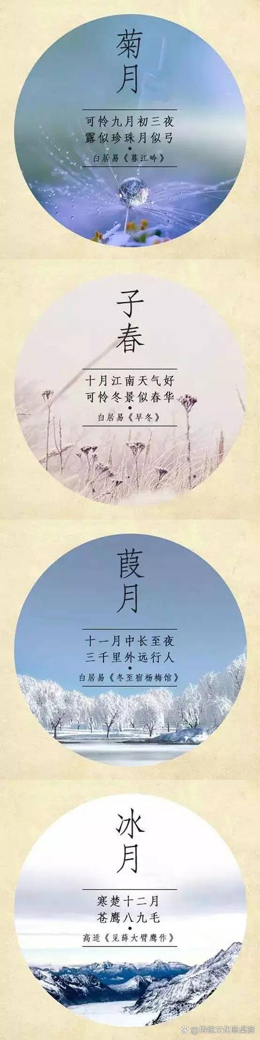 十二个月高端叫法截图