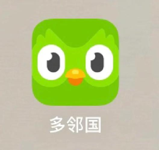 多邻国初始密码8位数是什么图标