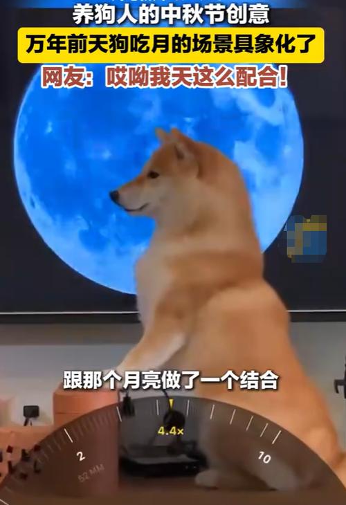 天狗(1-92)全文阅读图标