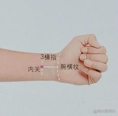 手腕内侧位置图图标
