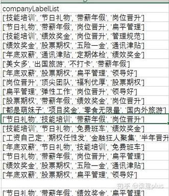 年底双薪怎么计算截图