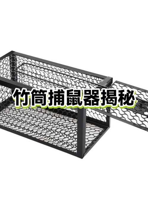 老鼠神器捕鼠图标