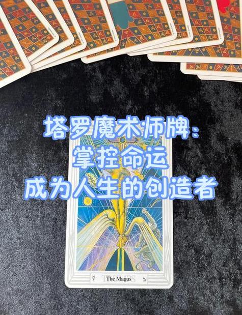 塔罗牌师一般人干不了截图