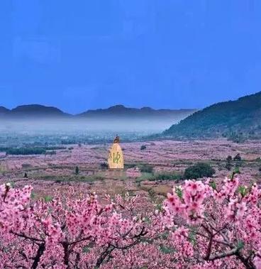 桃花什么时候开放图标