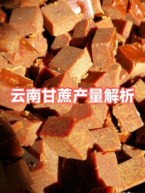 云南甘蔗产量图标
