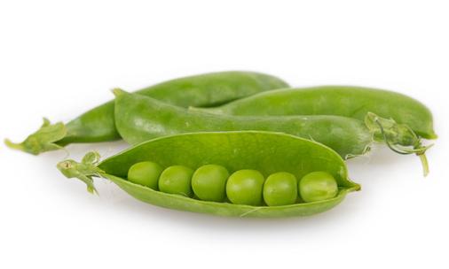 豌豆荚1006豌豆荚图标