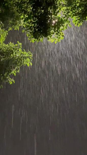 下雨的视频短片无水印截图