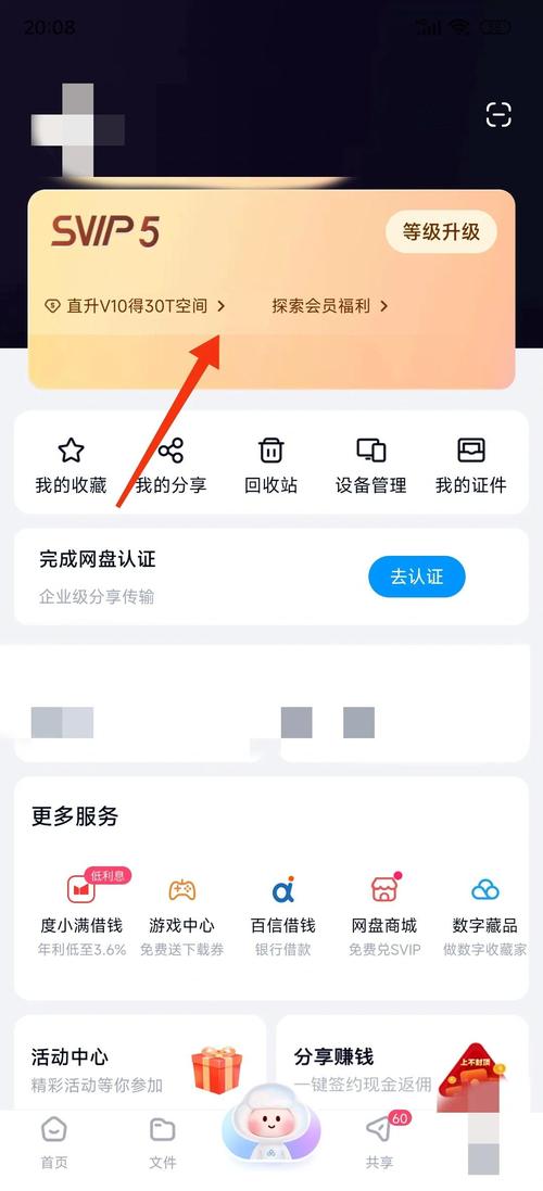 vip在哪里开截图