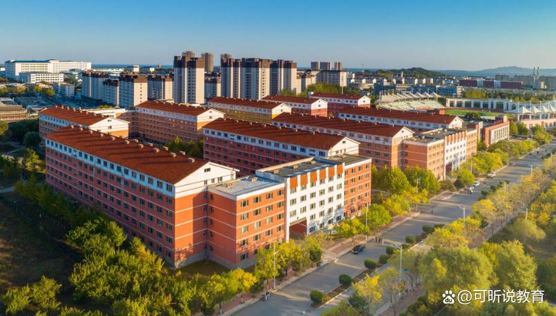张雪峰说辽宁工业大学图标