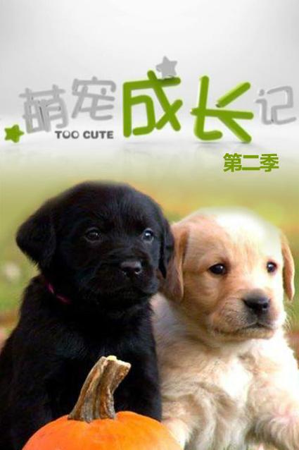萌宠成长记中文图标