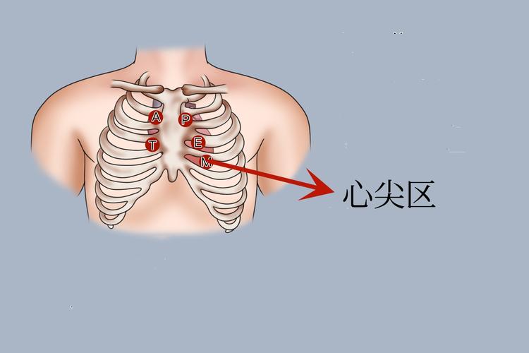 六叔的心尖宠截图