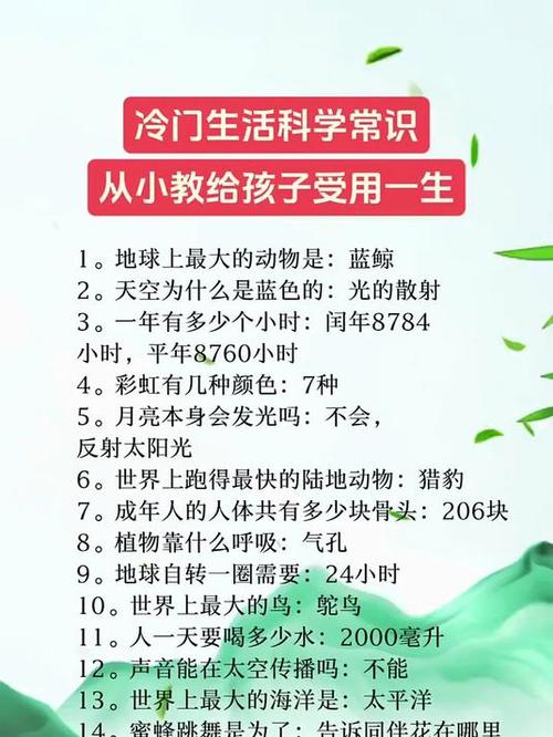 健康冷门小知识图标