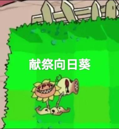 吃鸡小表弟黑暗阳光黄金卿截图